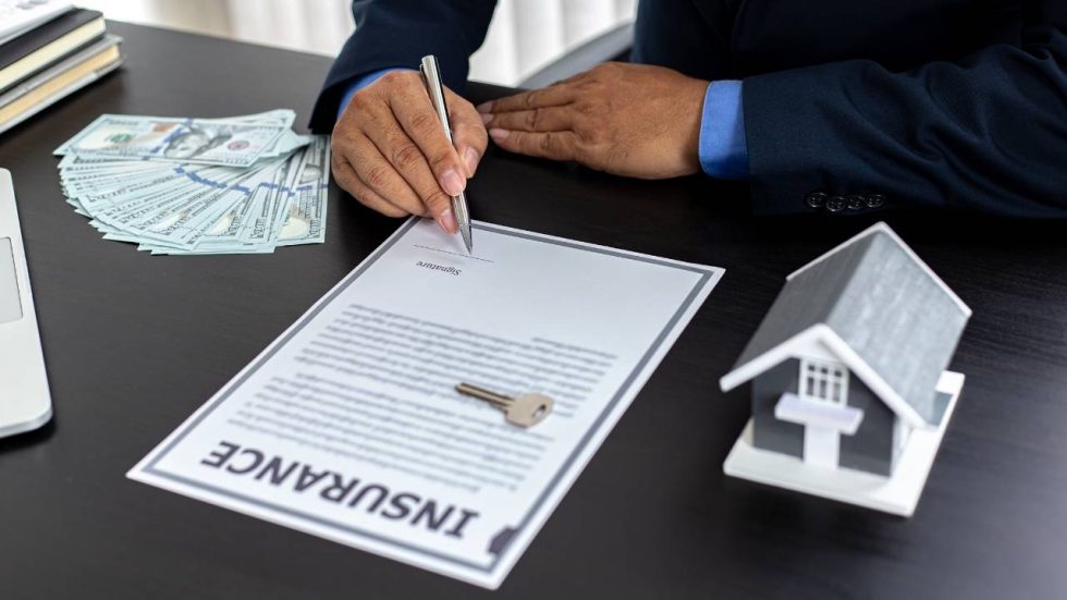 Filing A B10 Form Guide By CRO: Avoid Common Mistakes